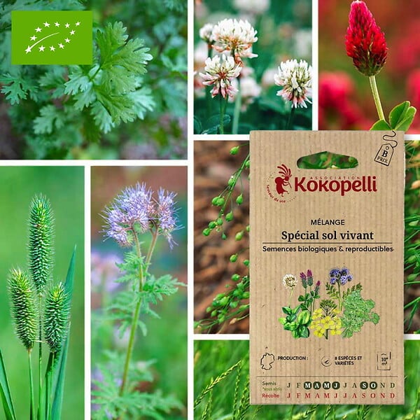 Mélange Spécial Sol Vivant- Graines bio à semer ASSOCIATION KOKOPELLI ...
