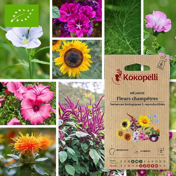 Mélange Fleurs champêtres- Graines bio à semer ASSOCIATION KOKOPELLI ...