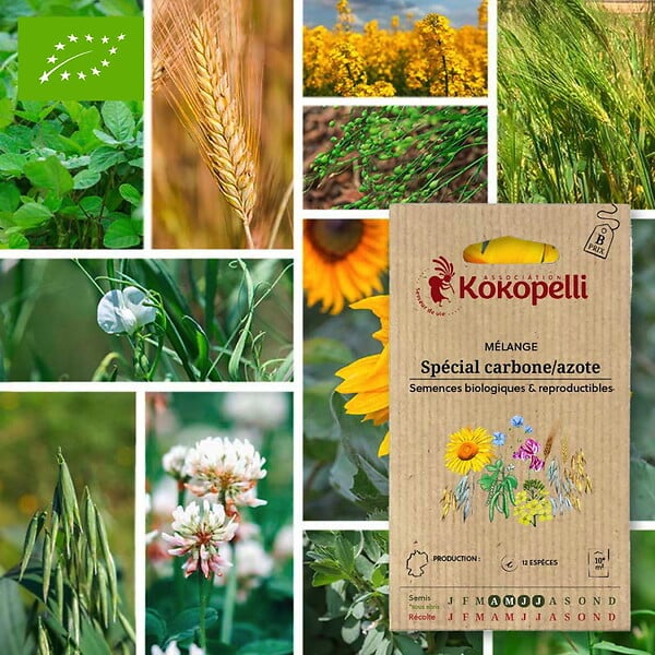 Mélange Spécial Carbone / Azote- Graines bio à semer ASSOCIATION ...