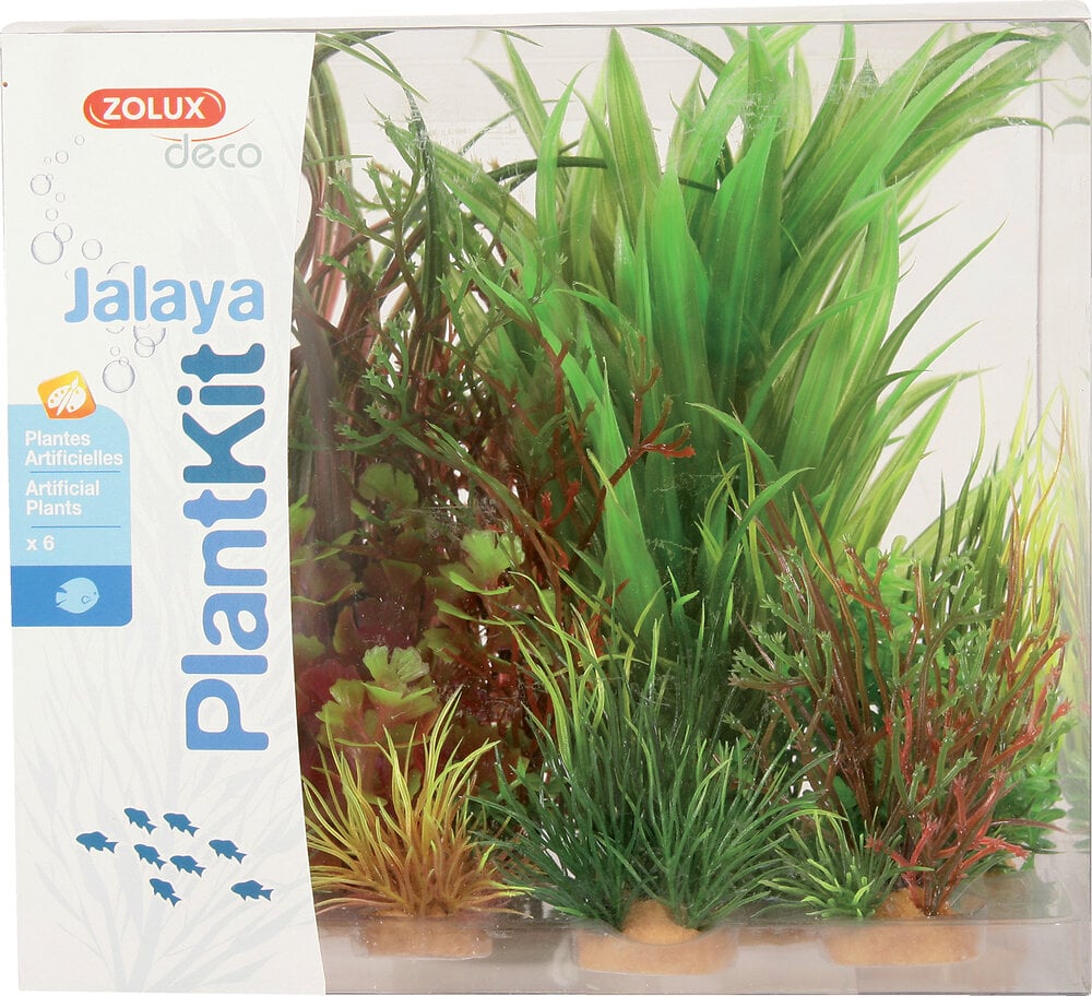 Plantkit jalaya n3 | Bricomarché
