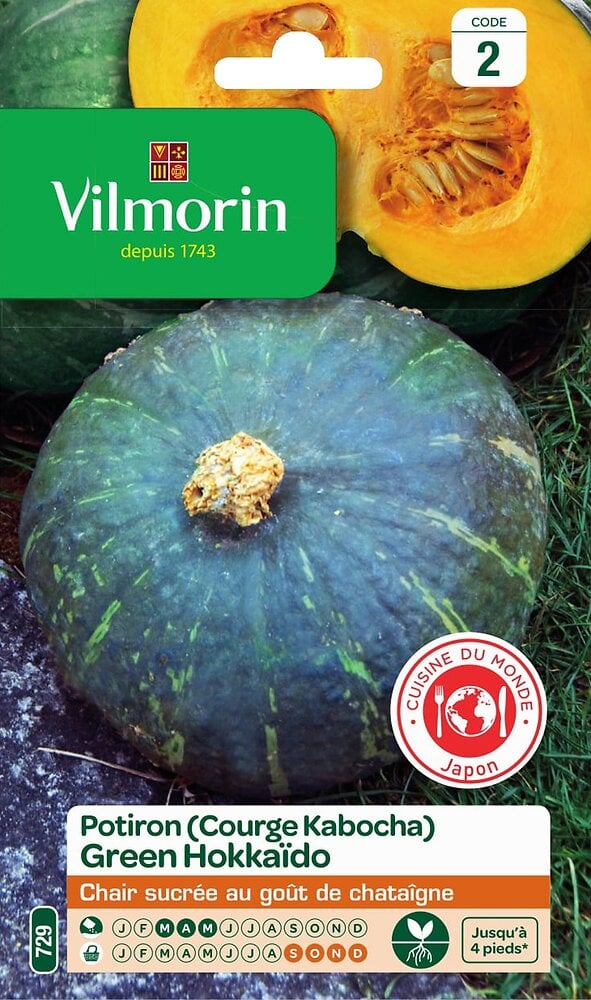 Courge kabocha green Hokkaido Vilmorin | Bricorama