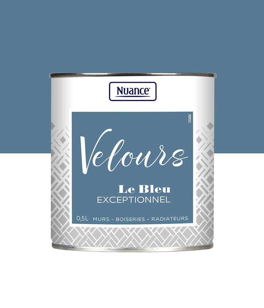 Peinture Velours - Bleu exceptionnel - Multi-support - 0,5L | Bricorama