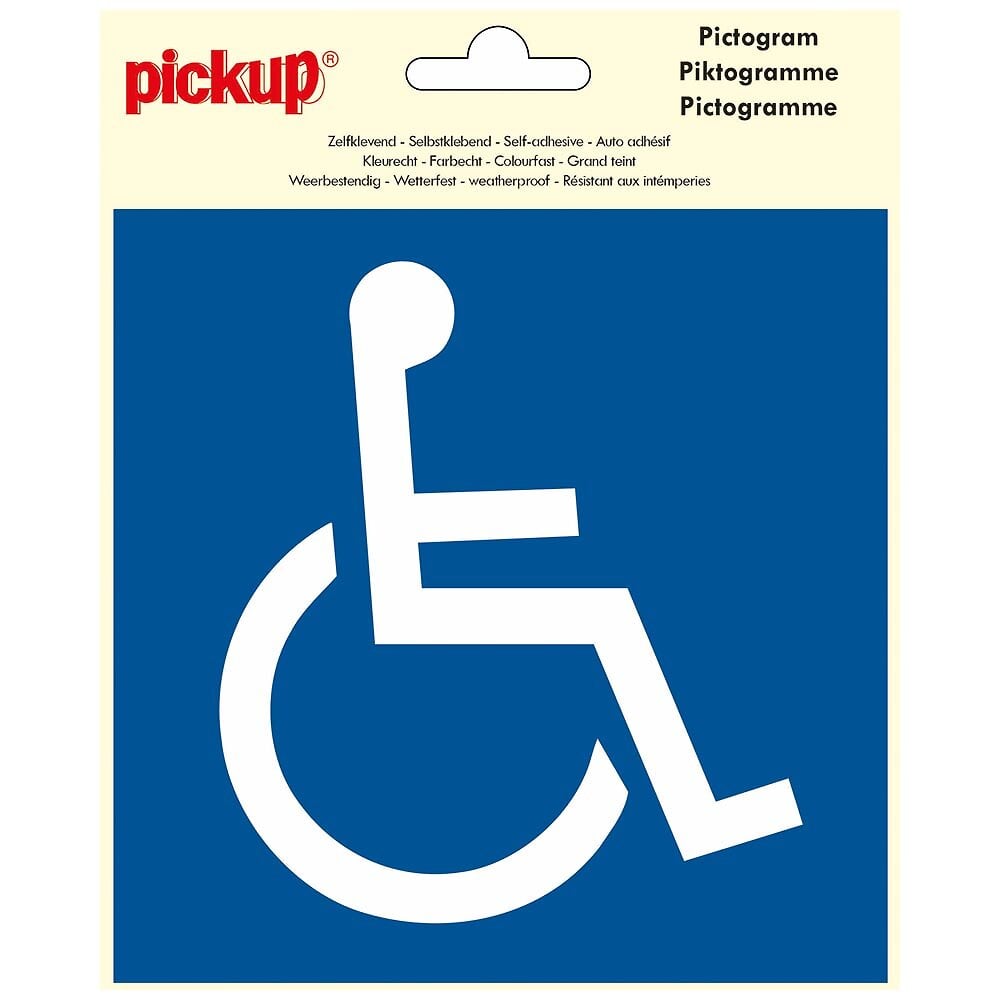 Picto 15x15cm Accès handicapés | Bricorama