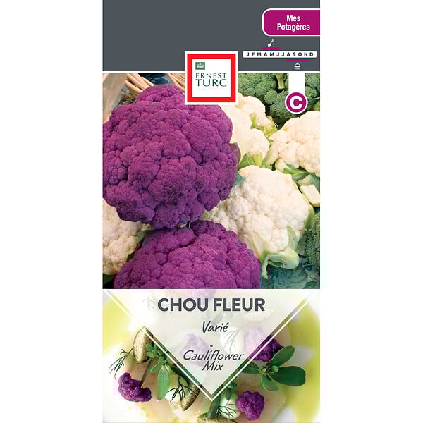 Chou fleur de couleur en melange ETS | Bricomarché