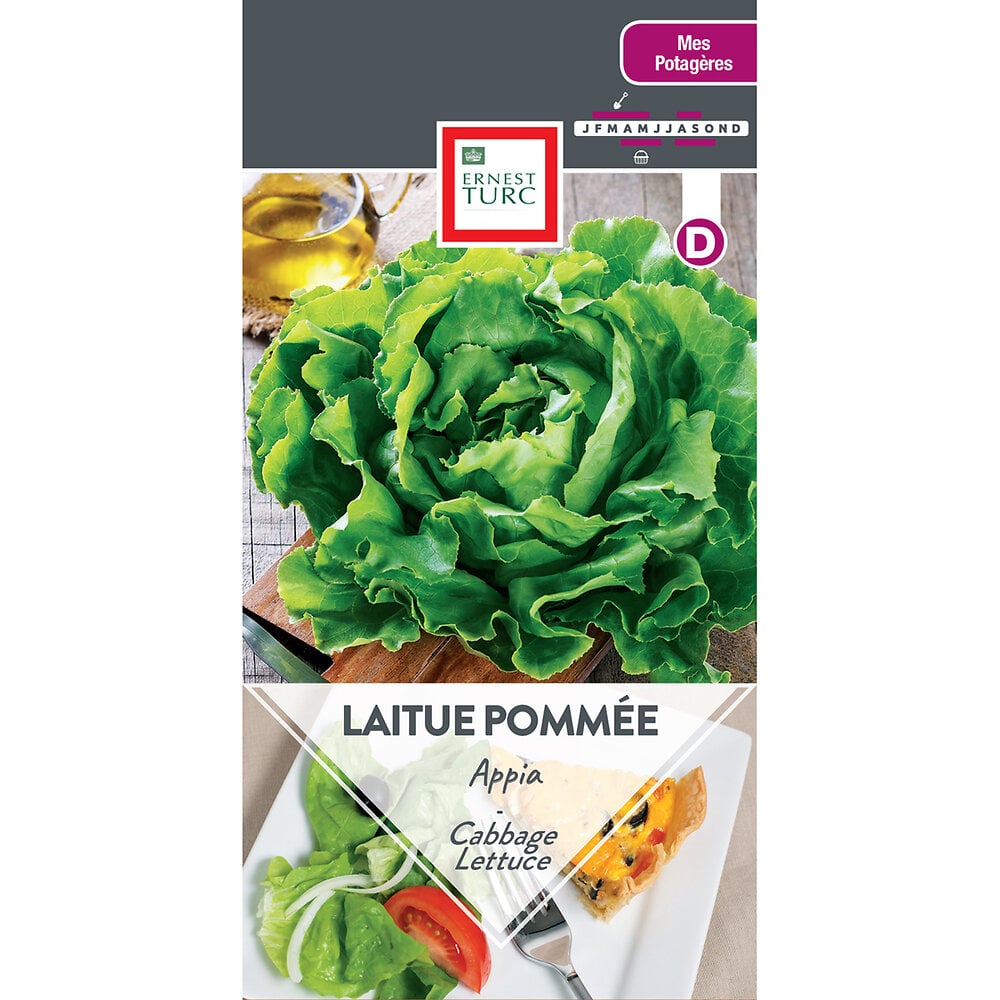 LAITUE POMMEE APPIA | Bricorama