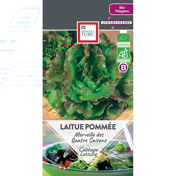 LAITUE POMMEE MERVEILLE DES QUATRE SAISONS BIO | Bricomarché