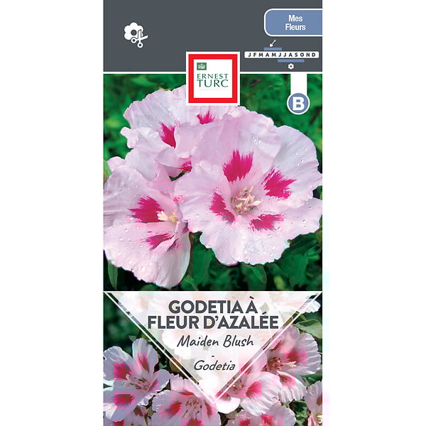 Godetia demi nain double maiden blush ETS | Bricomarché