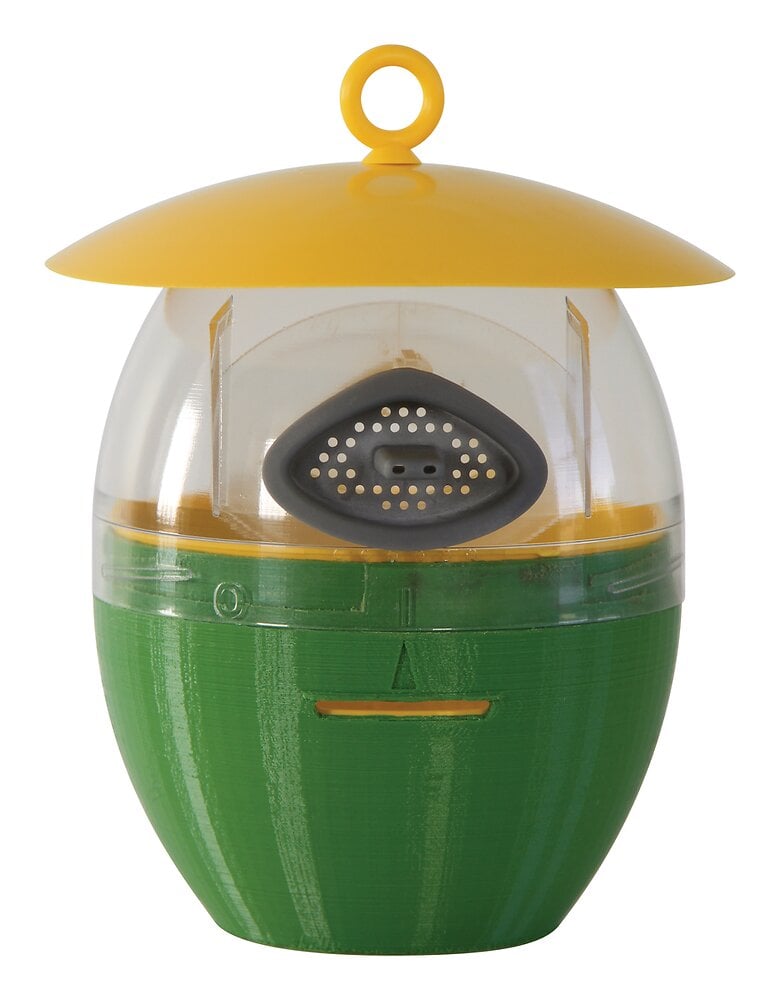 Piège à frelons asiatiques | Bricorama