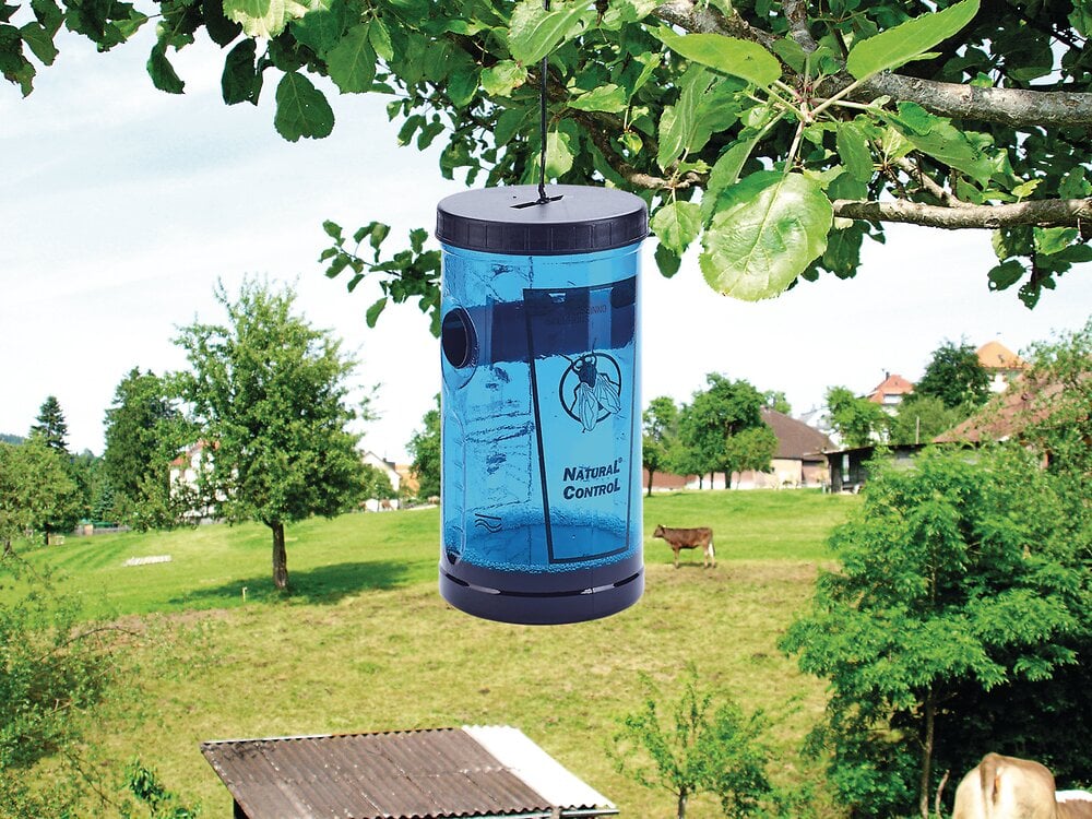 Piège à insectes | Bricomarché