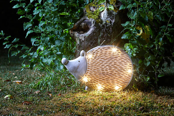 Hérisson Lumineux | Bricorama