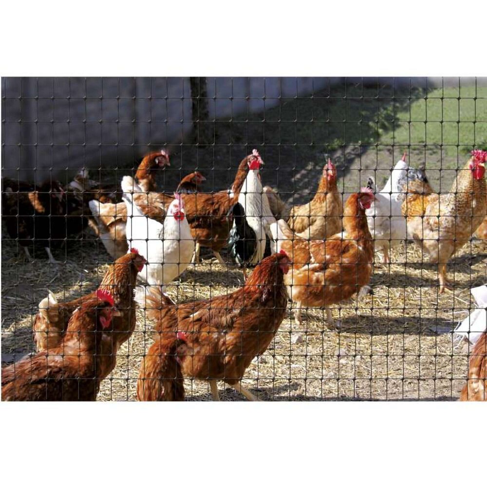 Grillage plastique noir 1x10m | Bricorama