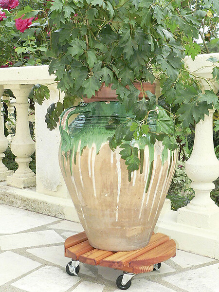 Flora roll lasure NORTENE | Bricorama