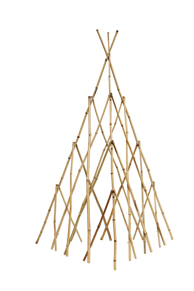 Tuteur pyramide bambou h1.2m | Bricomarché
