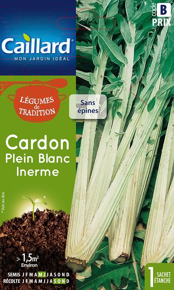 CARDON PLEIN BLANC INERME | Bricorama