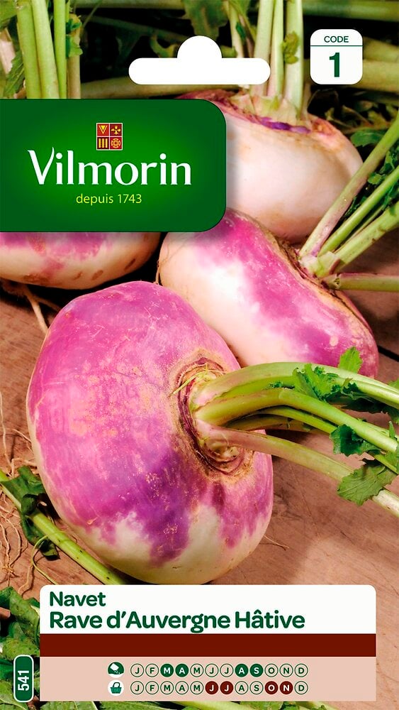 Navet rave d'Auvergne hâtif | Bricomarché