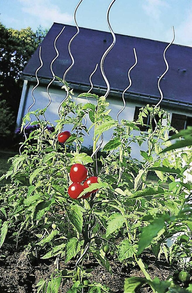 Tuteur tomates spirale 1,80m | Bricomarché