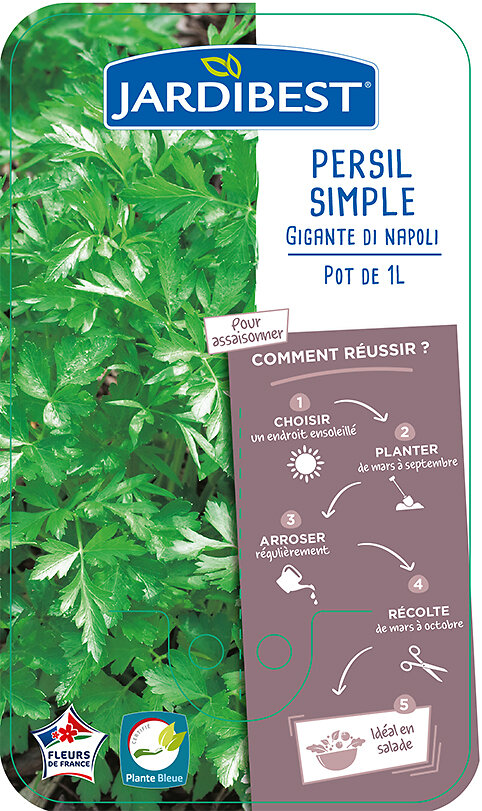 PERSIL SIMPLE 1L | Bricomarché