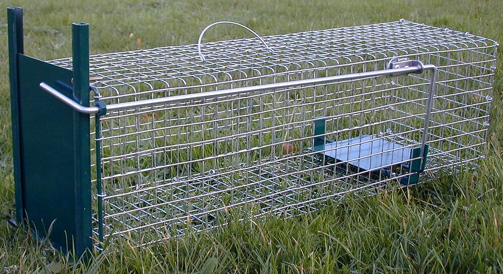 NASSE A RAT 1 ENTREE Dimensions 50x18x18cm | Bricomarché