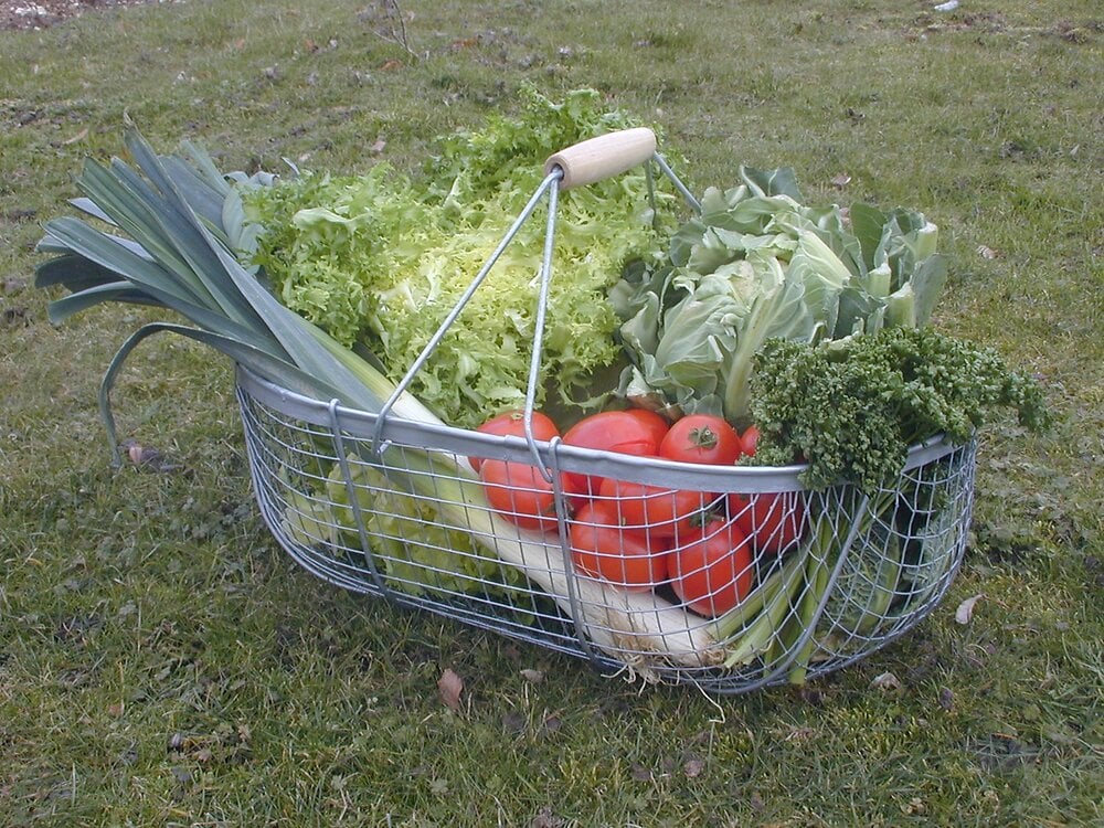 Panier a recolte 30litrees galvanise | Bricomarché