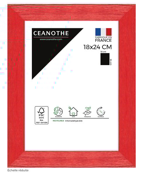 Cadre Tutti frutti 18x24 cm cerise | Bricomarché