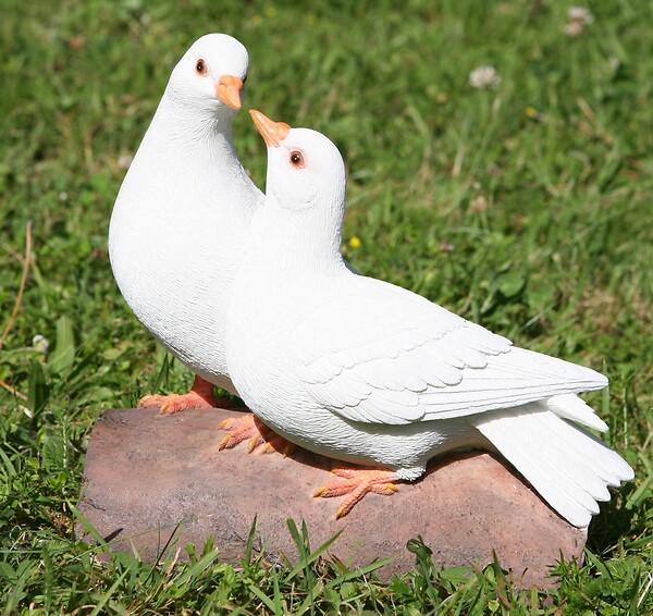 Couple de colombes Hauteur 21,5cm | Bricomarché