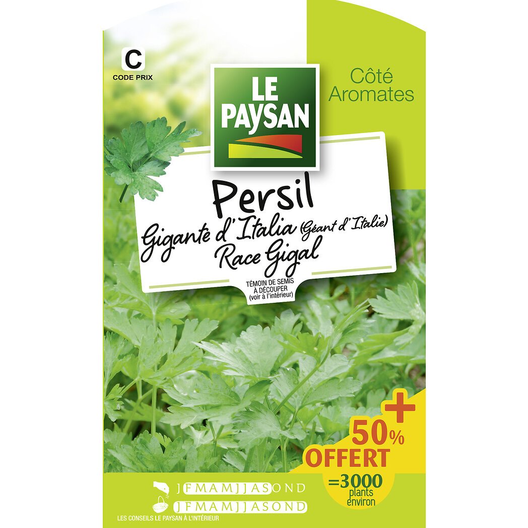 Persil géant d'Italie race Gigal Le Paysan - Intermarché